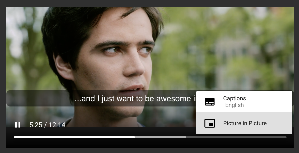 V1 regression: DEFAULT flag for subtitles / captions no-longer ...