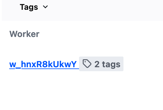 Fix 馃悰 Add Back Div To Fix Tag Icon Badge Layout By Zedli 路 Pull Request 1349 路 Hashicorp