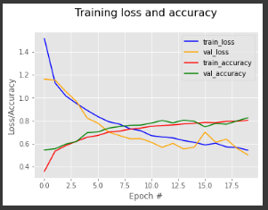 GitHub - muizzahkhan/CNN_Assignment
