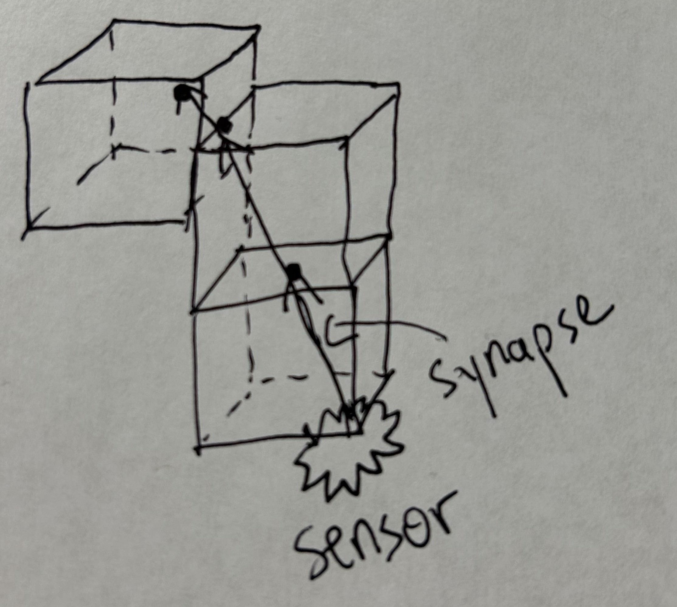 GitHub - siwoopark10/ludobots-public