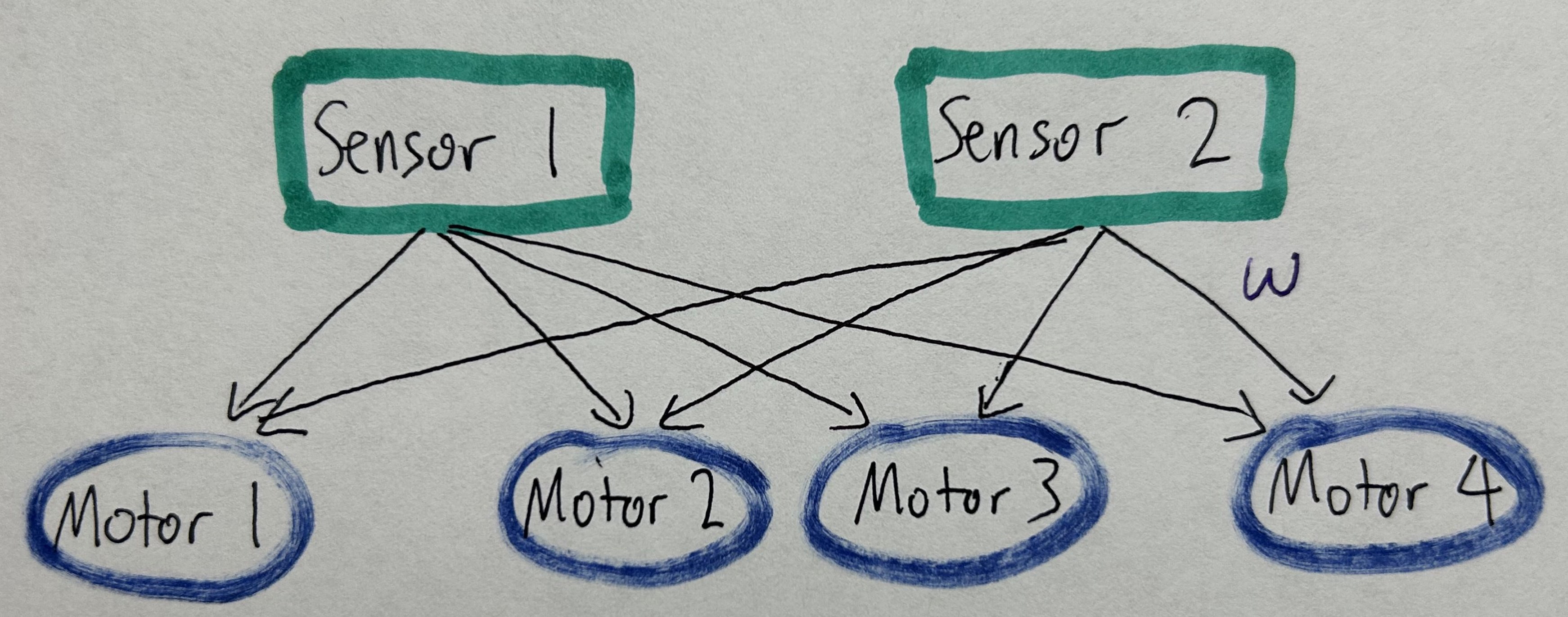 GitHub - siwoopark10/ludobots-public