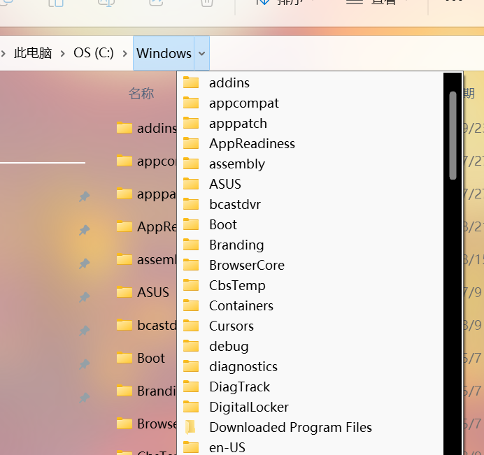 地址栏下拉菜单滚动条颜色异常 · Issue #53 · Maplespe/ExplorerBlurMica · GitHub