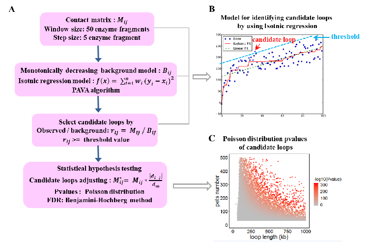 GitHub - XuanCao-CX/SigLoops: Loop caller for Hi-C data.