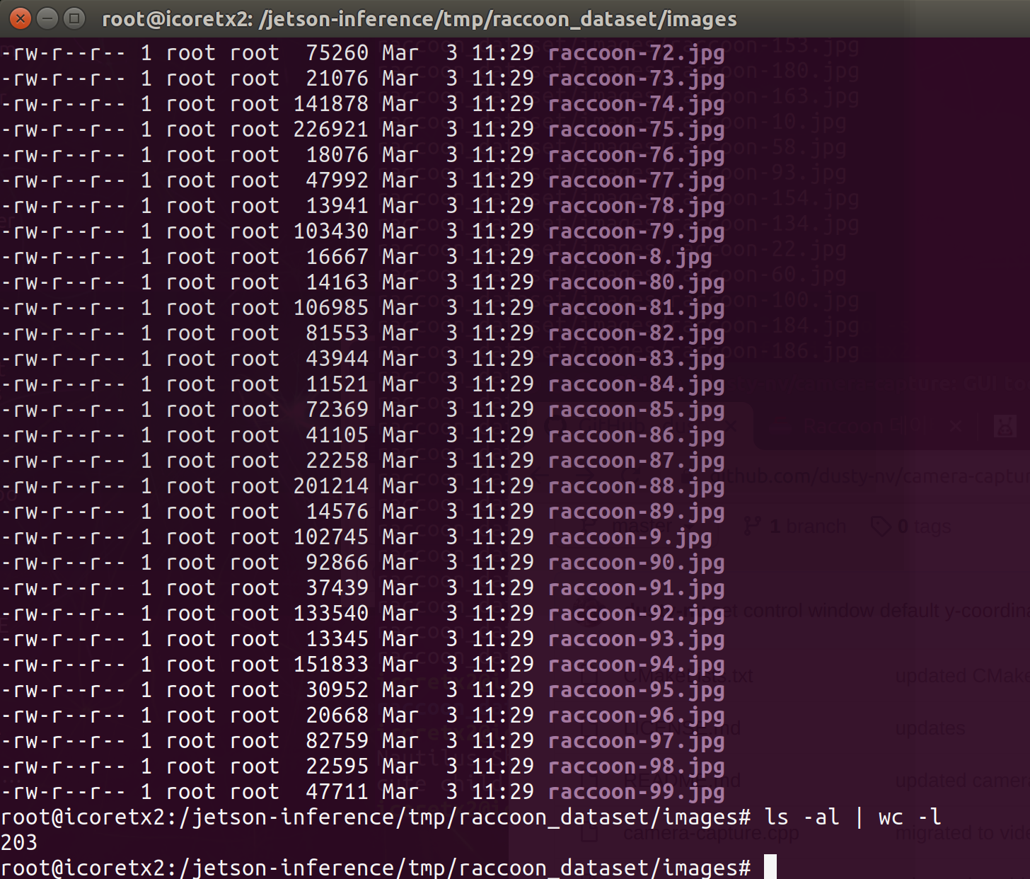 camera capture (input: images) problem · Issue #945 · dusty-nv/jetson-inference · GitHub