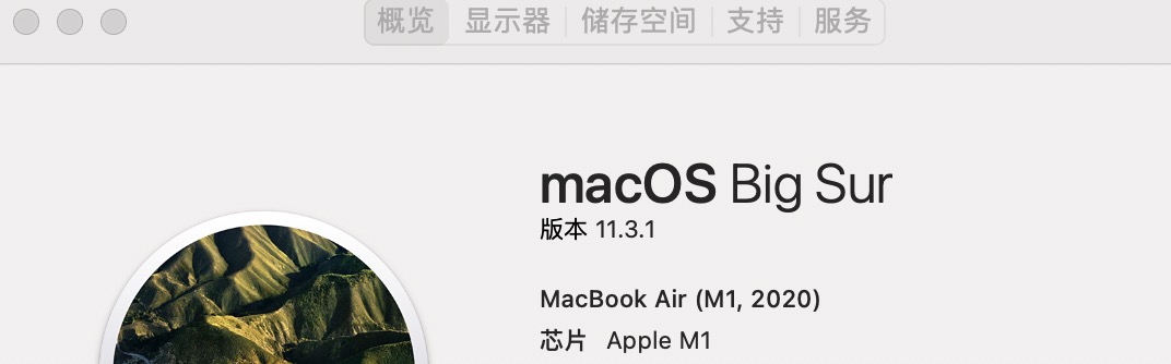 M1 Mac无法打开 · Issue #465 · CopyTranslator/CopyTranslator · GitHub