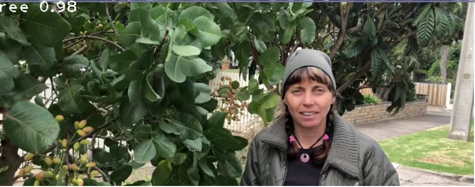 GitHub - bhuvnesh-cyber/Yolo-Object-Detection