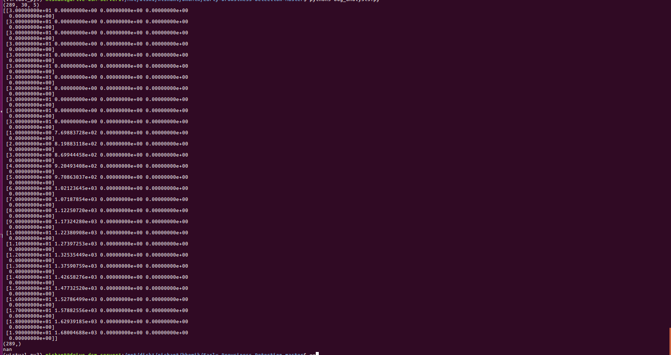 Model output sometimes gives "Nan" as output. What could be the problem ...
