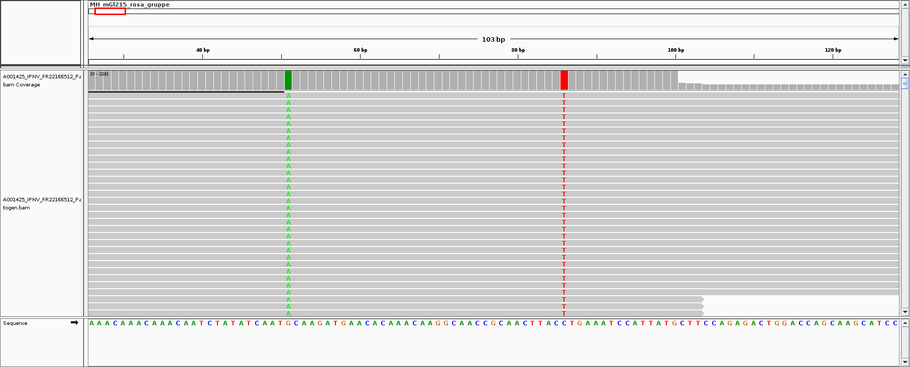 Mpileup selecting reference despite variant present · Issue #1136 ...