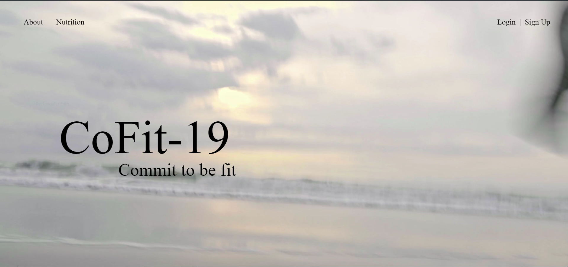 GitHub - jmorales113/CoFit-19