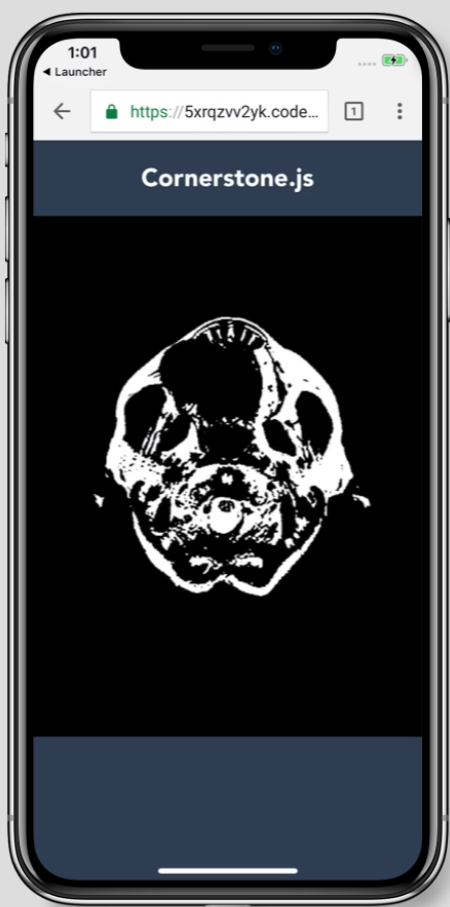 Image renders incorrectly on newer iPhone devices · Issue #367 ...