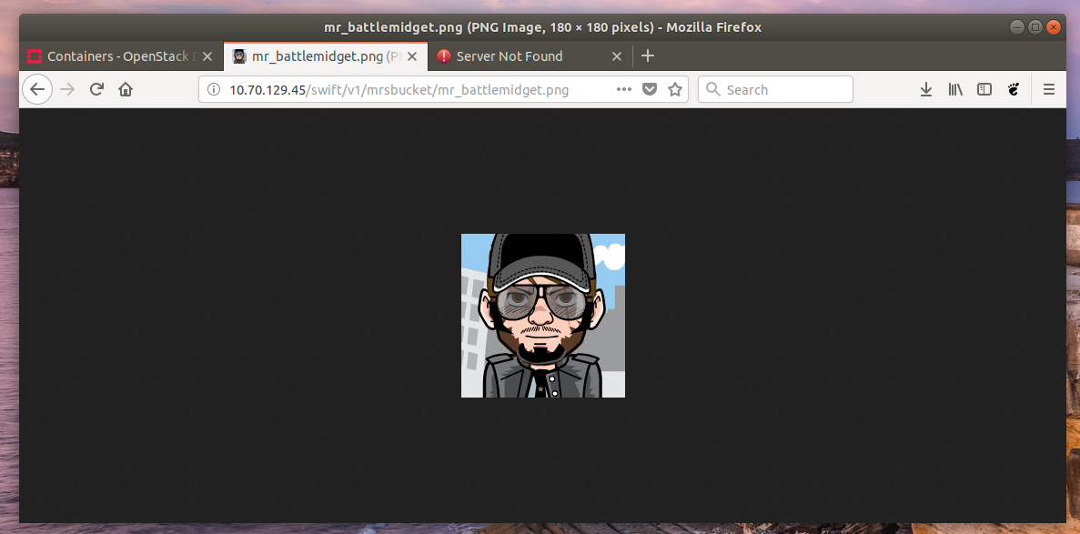 conjure-up openstack with NovaLXD fails on Ubuntu 18.04 LTS ---> · Issue #1475 · conjure-up ...