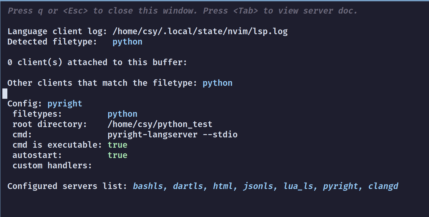 pyright could not attach to the buffer · Issue #547 · ayamir/nvimdots · GitHub