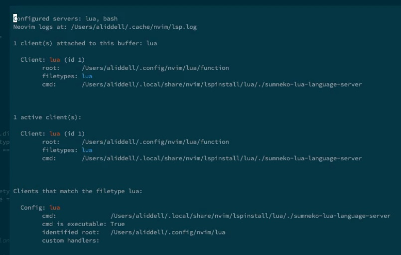 Lspinfo Inaccurate Reporting Attached Buffer Client Details · Issue 932 · Neovimnvim Lspconfig