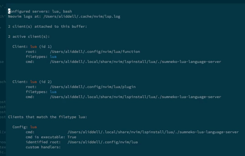 LspInfo inaccurate reporting attached buffer client details · Issue #932 · neovim/nvim-lspconfig ...