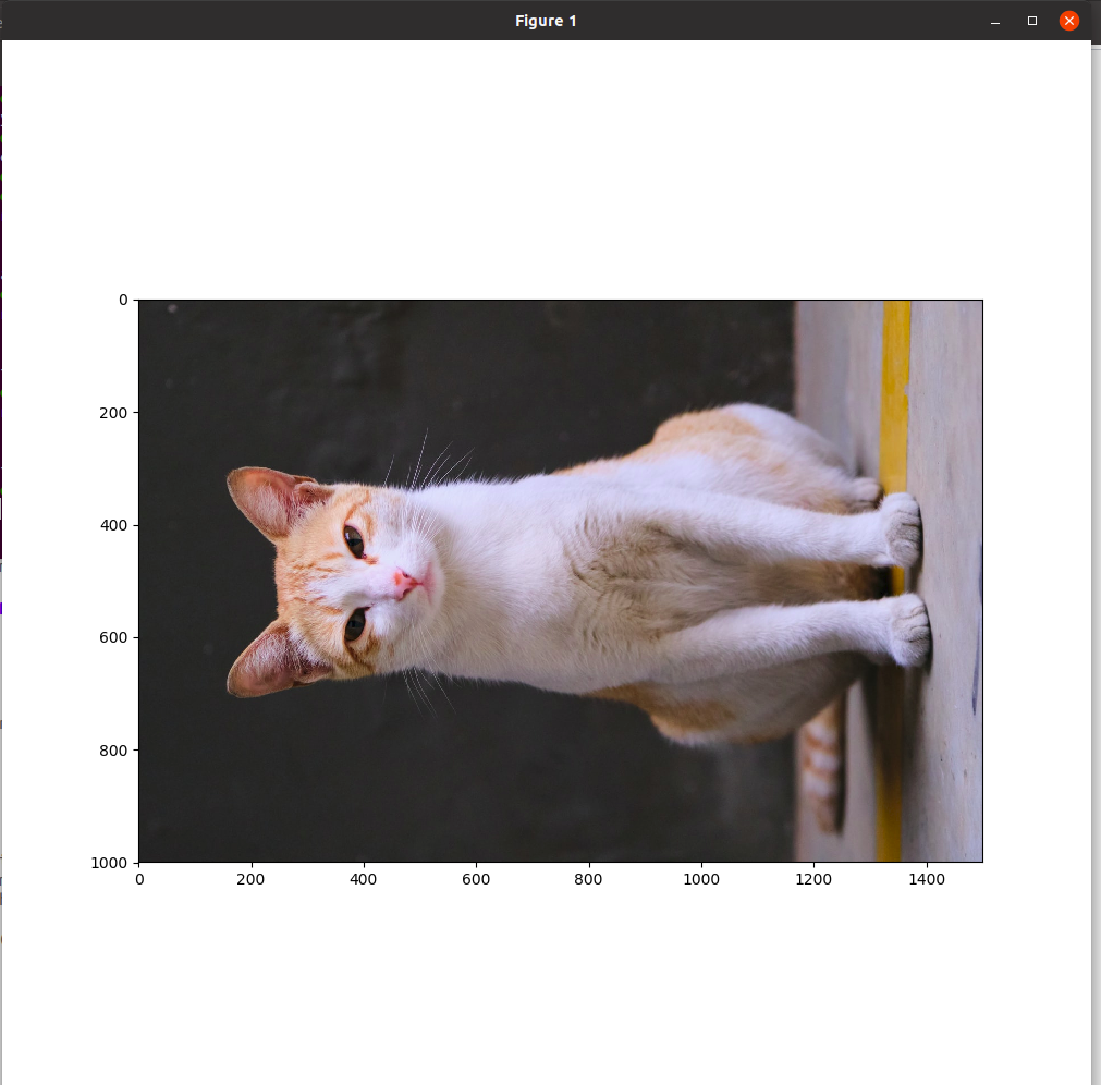 GitHub - mohamed-arafa/AI_Image_processing_Flip_image: for Image processing Section CSE54