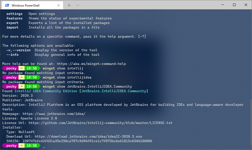 Updated IntelliJ keeps showing upgrade for latest version · Issue ...