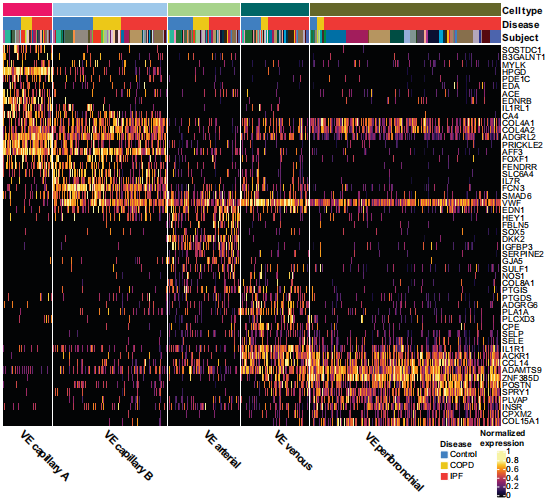 label-annotated heatmap using DoHeatmap · Issue #3554 · satijalab/seurat · GitHub