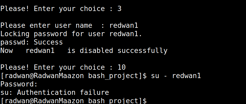 GitHub - radwanmaazon/BashScript-ITI-project