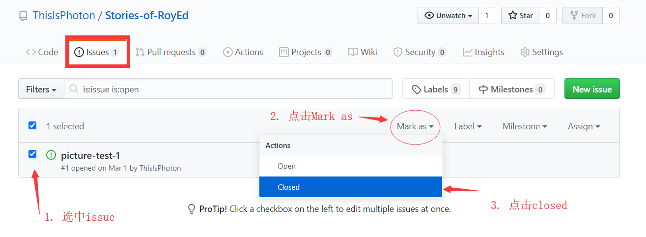 【教程】使用Github Issue放文和图 · Issue #6 · ThisIsPhoton/tortuleForLof · GitHub