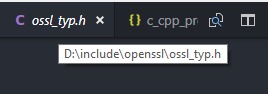 Cannot parse the openssl header · Issue #2399 · microsoft/vscode-cpptools · GitHub