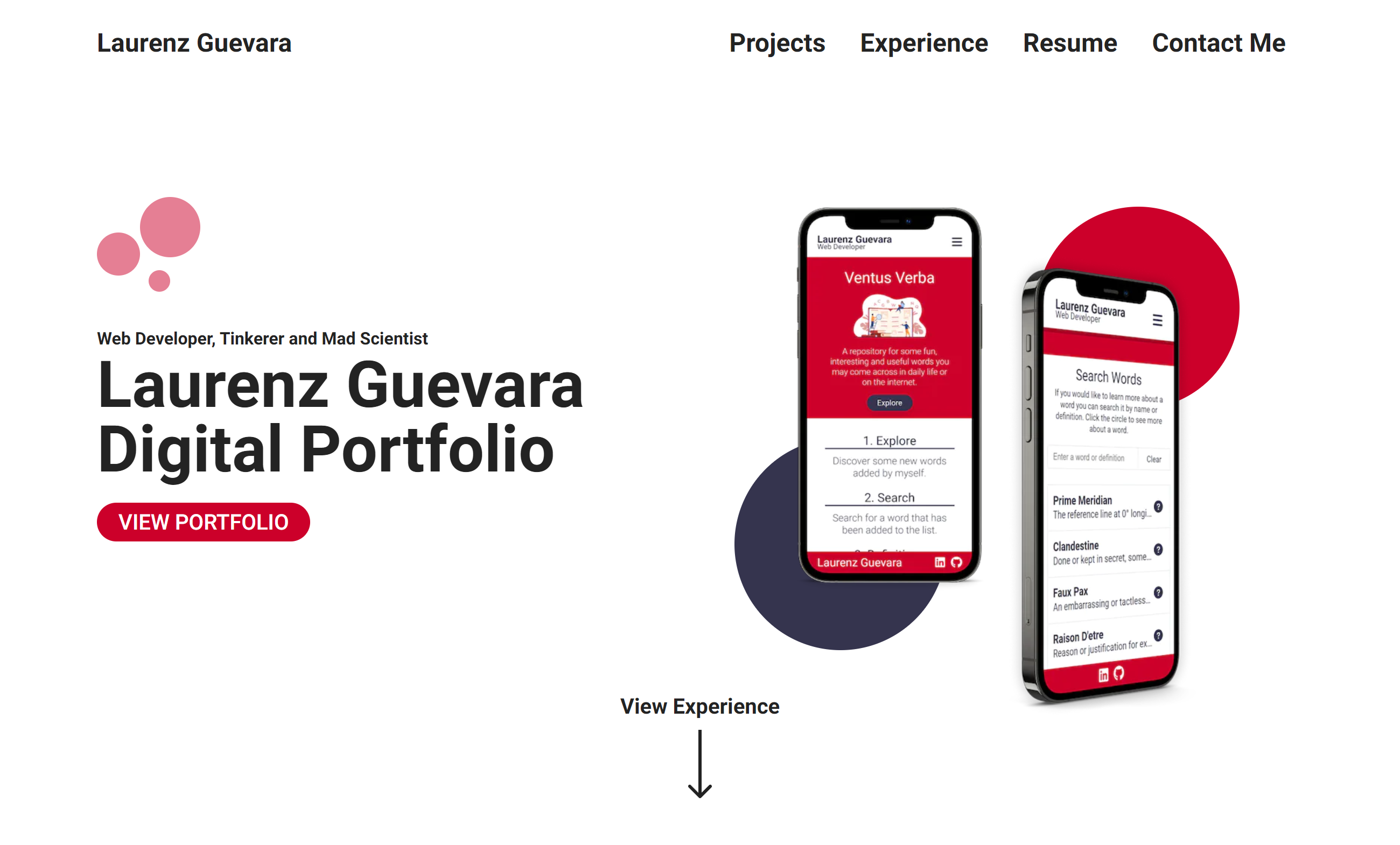 Laurenz-Guevara (Laurenzo) · GitHub