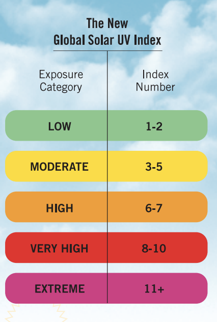 GitHub - unicorninvirgo/weather-forecaster