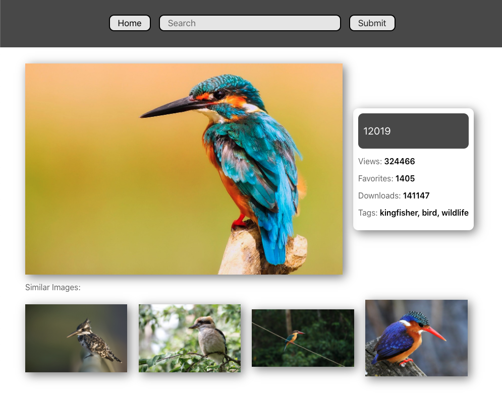 GitHub - Connorrichter4/react-photography-app