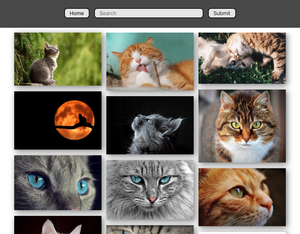 GitHub - Connorrichter4/react-photography-app