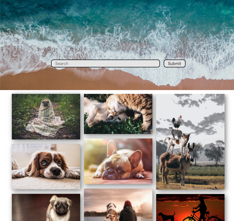 GitHub - Connorrichter4/react-photography-app