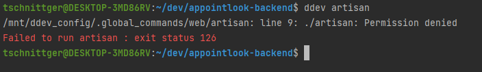 `ddev artisan`: "line 9: ./artisan: Permission denied" - artisan command is not executable in ...