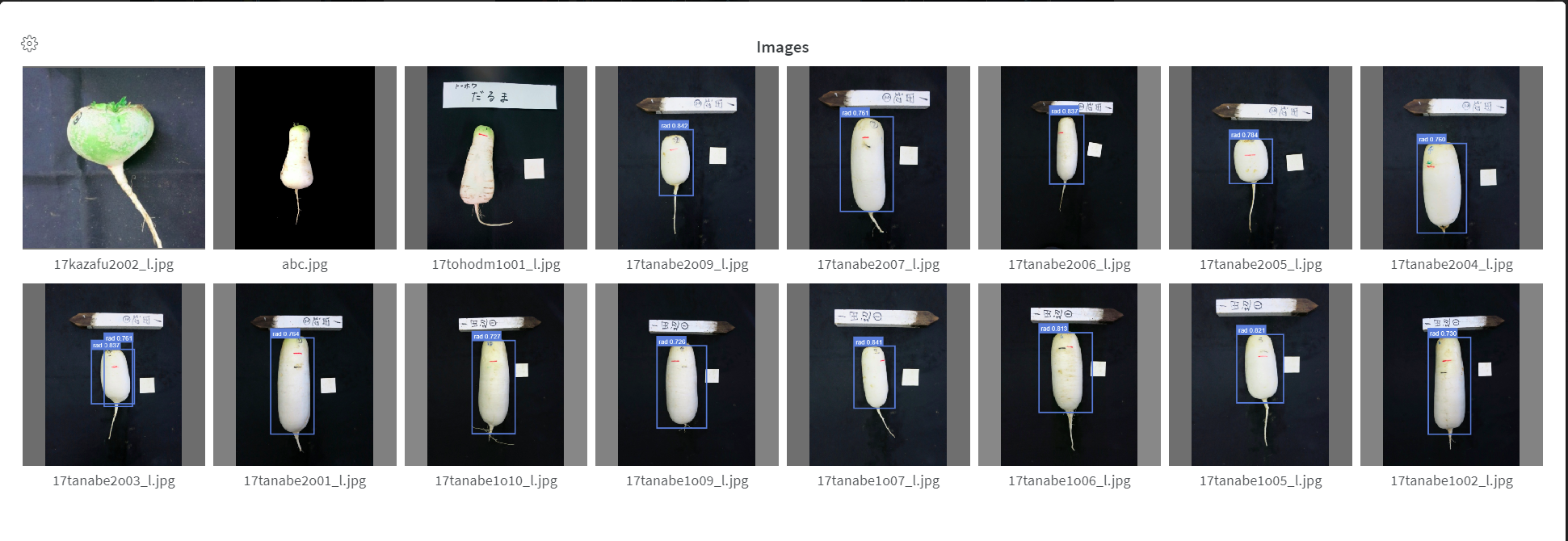 IndexError: index -1 is out of bounds for axis 0 with size 0 · Issue #706 · ultralytics/yolov5 ...