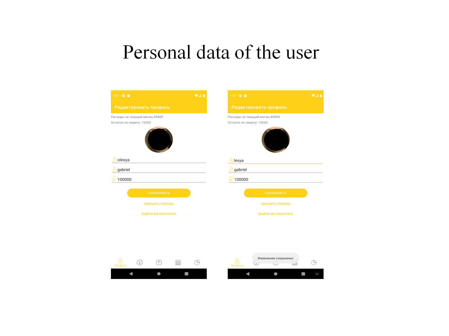 Github Olesiagabrielfinancialassistant Mobile Application 2814