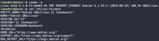 [Bug] - Black screen on all workspaces with GPU support · Issue #479 · kasmtech/workspaces ...
