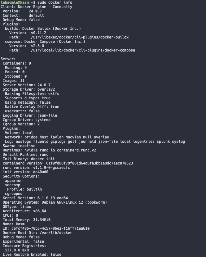 [Bug] - Black screen on all workspaces with GPU support · Issue #479 · kasmtech/workspaces ...