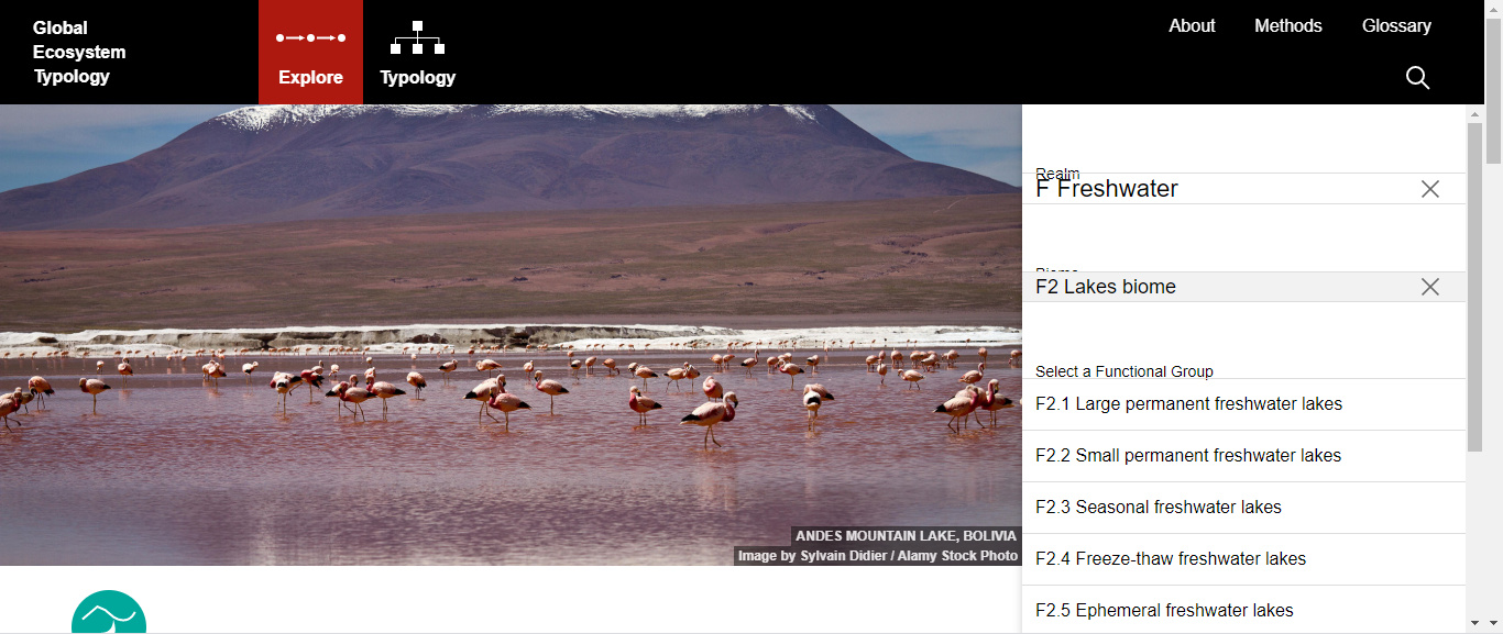 Text overlapping in Explore sidebar · Issue #34 · red-list-ecosystem/typology-map · GitHub