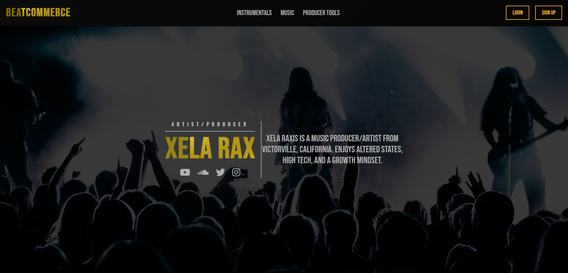 GitHub - cybrdelic/BeatCommerce-Advanced: BeatCommerce is an e-commerce web application for ...