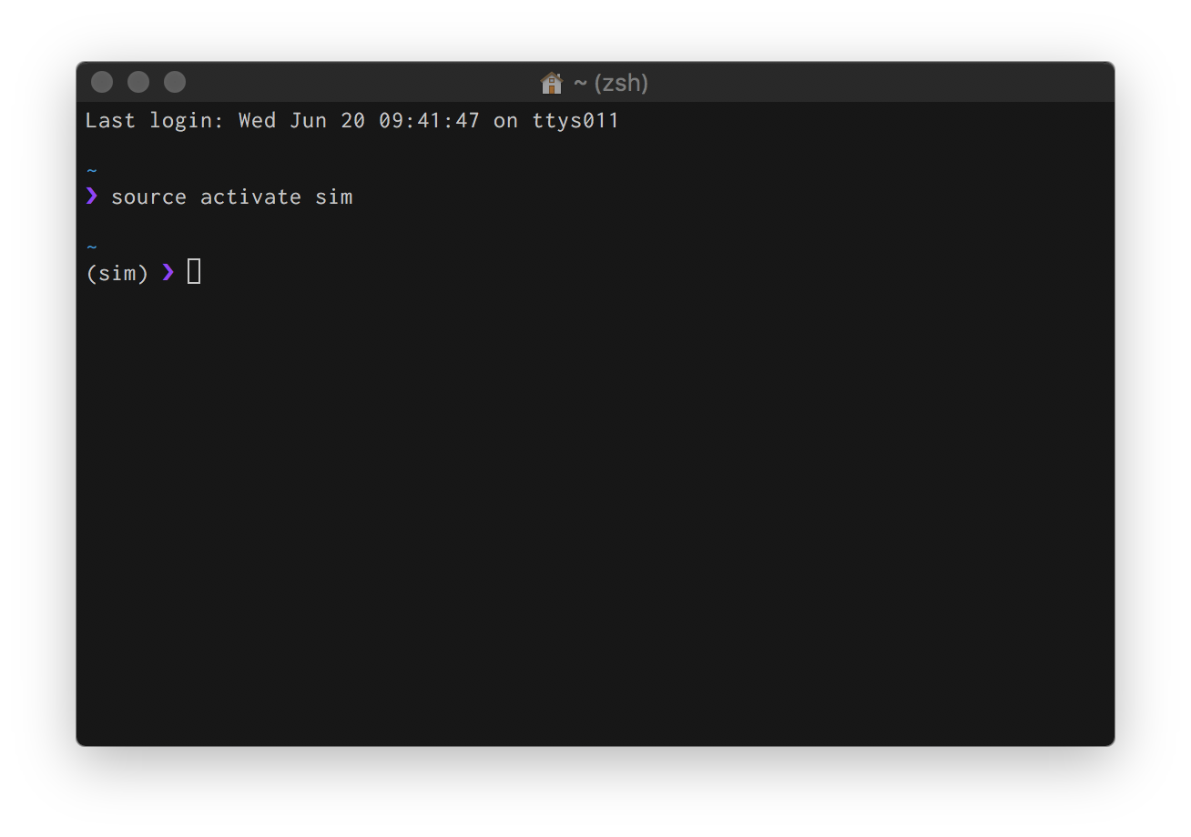 Conda environment name is not shown · Issue #411 · sindresorhus/pure · GitHub