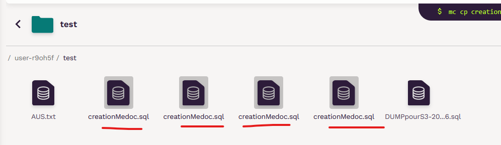 visual bug from upload many times same file from myFiles · Issue #595 · InseeFrLab/onyxia · GitHub