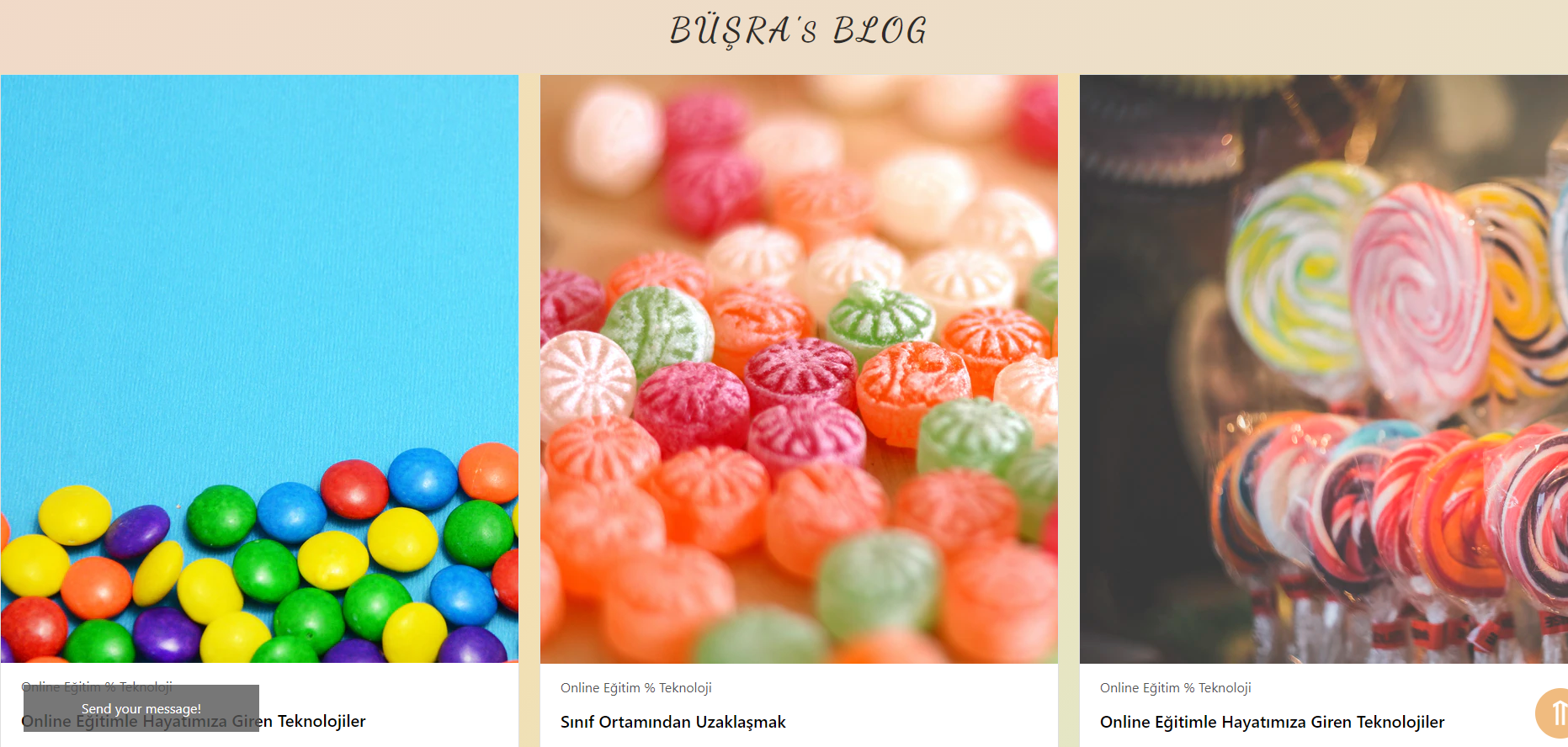 GitHub - ZeynepSlhoglu/BlogProject