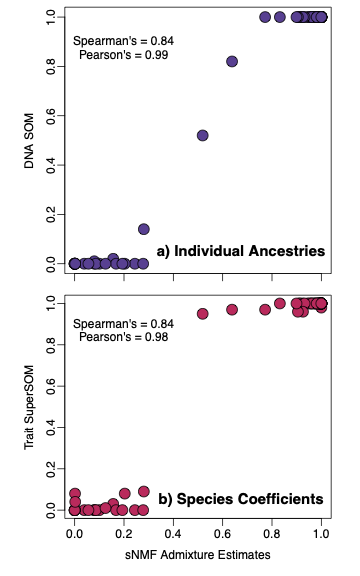 GitHub - rpyron/delim-SOM: Using multi-layer Kohonen Self-Organizing ...