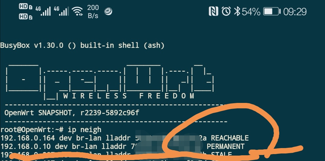 IP/MAC绑定功能经常性失效 · Issue #3753 · coolsnowwolf/lede · GitHub