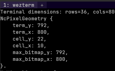 maxpixel not being filled in with ncvgeom · Issue #2351 · dankamongmen ...