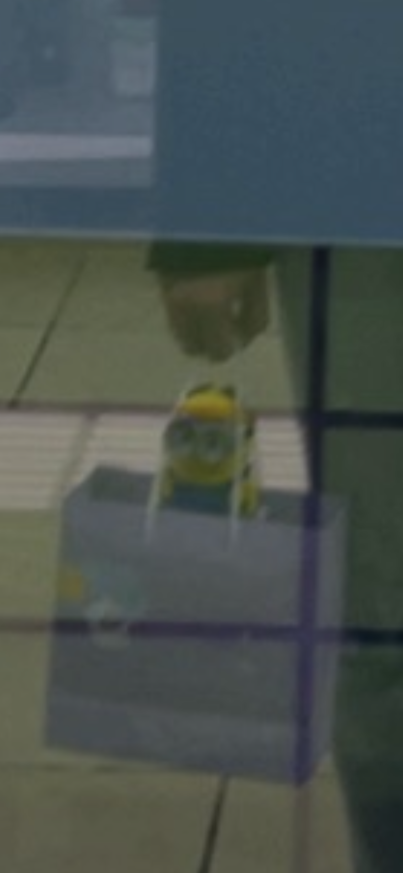 GitHub - carrier1269/Minions-goods