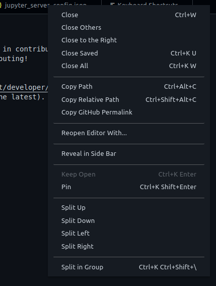 Shortcutshotkeys To Move Main Area Widgets Between Areas · Issue 11373 · Jupyterlabjupyterlab 