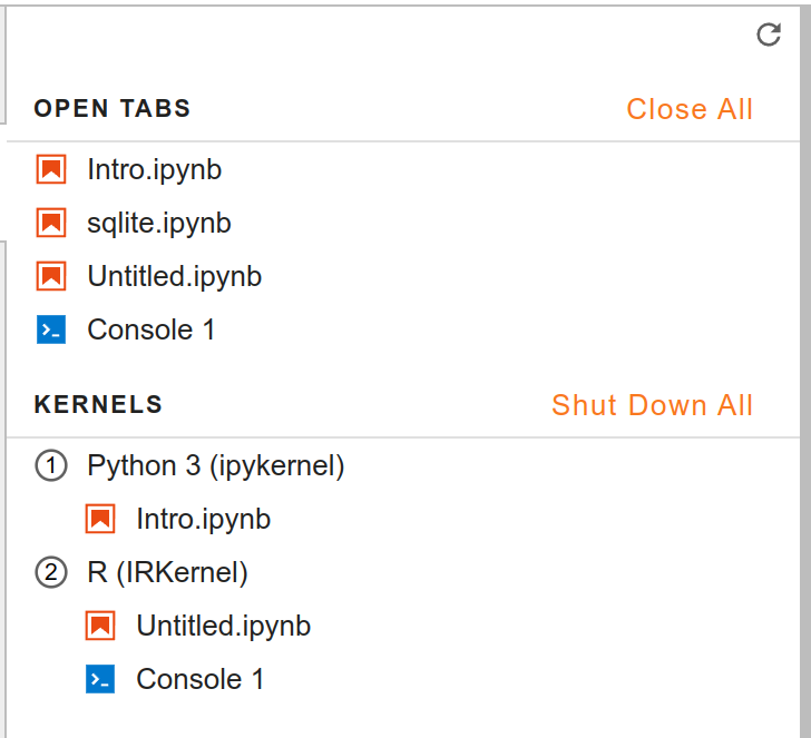 JupyterLab Running Panel: display kernels only once per instance - and ...