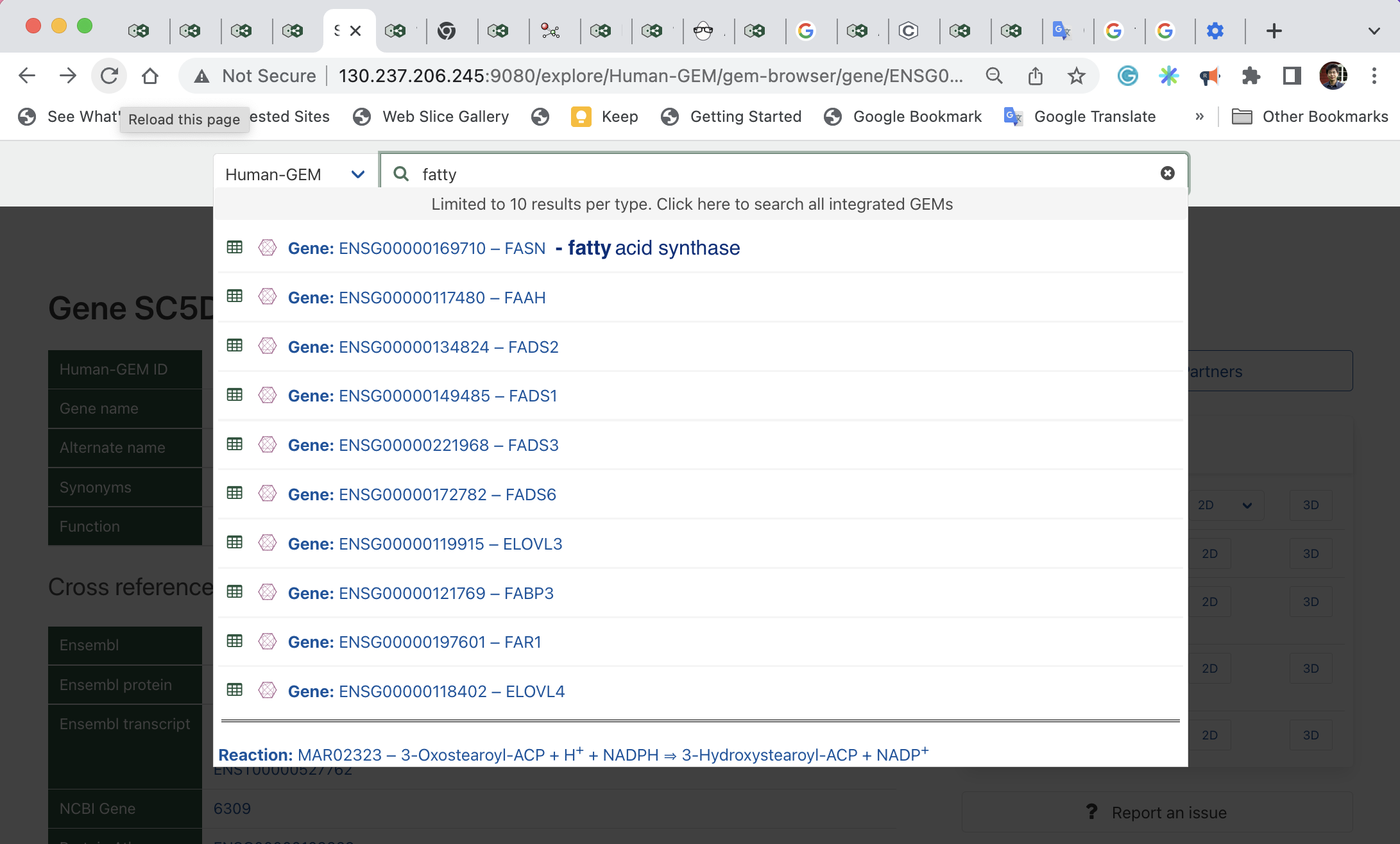 improve search results · Issue #978 · MetabolicAtlas/MetabolicAtlas ...