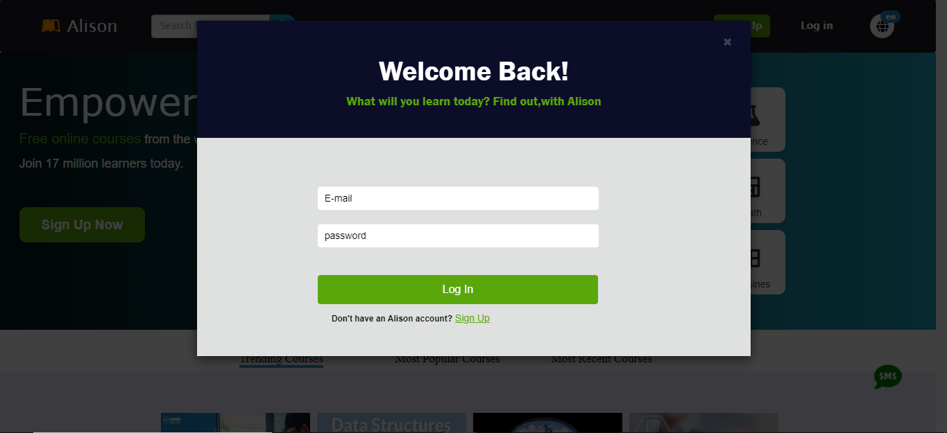 GitHub - marwa-mahmoud3/Alison-Website