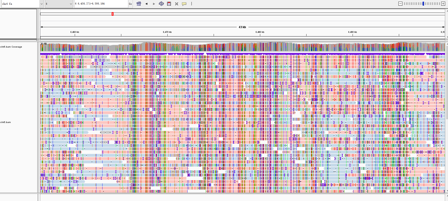haplotag: some regions only display one haplotype · Issue #257 · whatshap/whatshap · GitHub