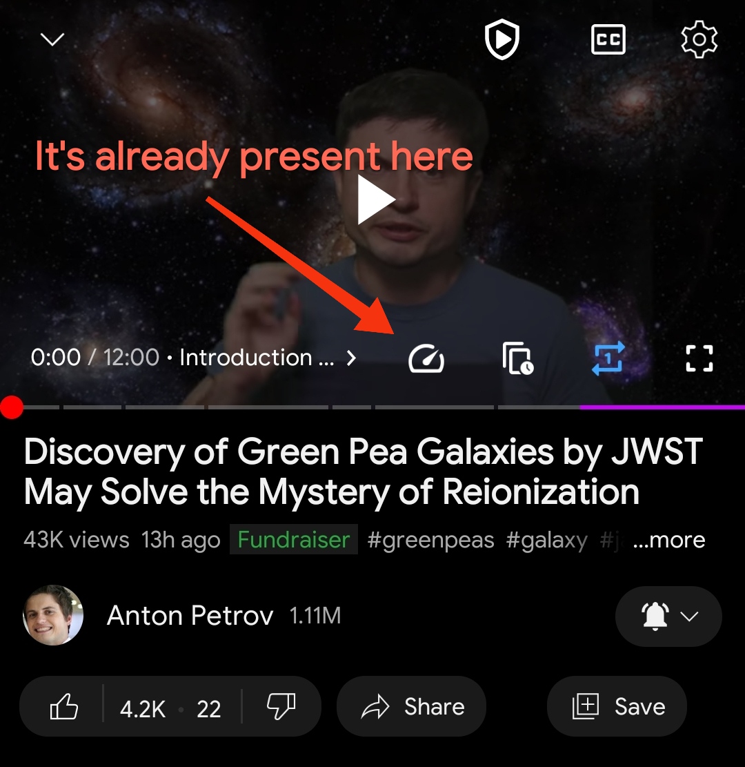 remove playback speed from player flyout panel · Issue #289 · inotia00/ReVanced_Extended · GitHub
